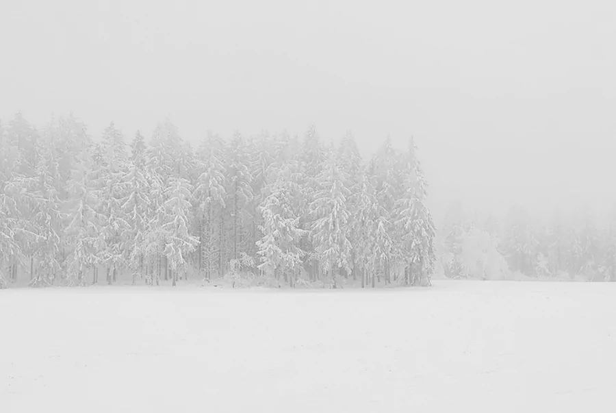 Isolation by M P, Photography, Digital | Art Limited