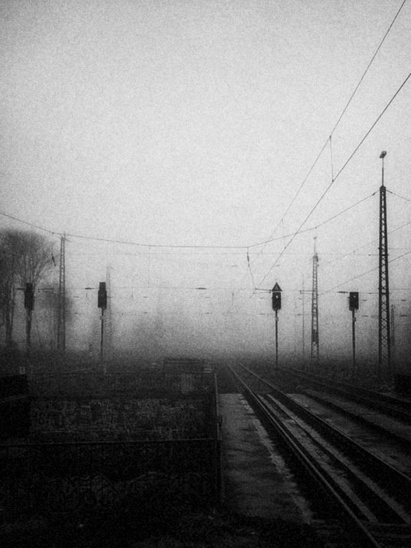 Signals IV by M P, Photography, film 24x36, 35mm | Art Limited