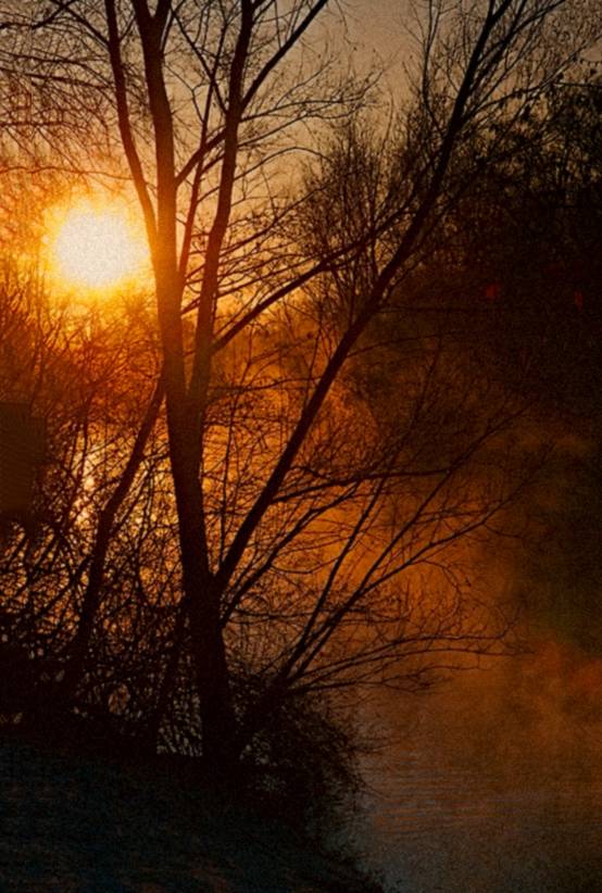 The Light, that would fade by M P, Photography, Digital