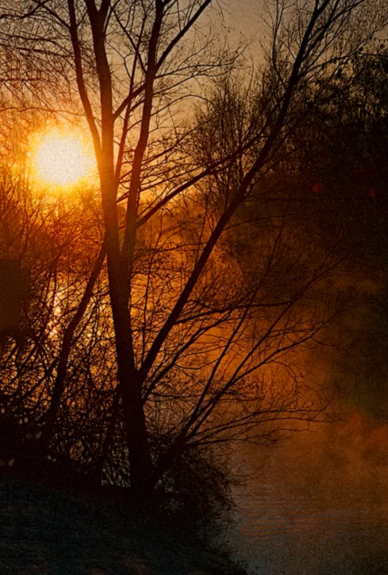 The Light, that would fade by M P, Photography, Digital | Art Limited