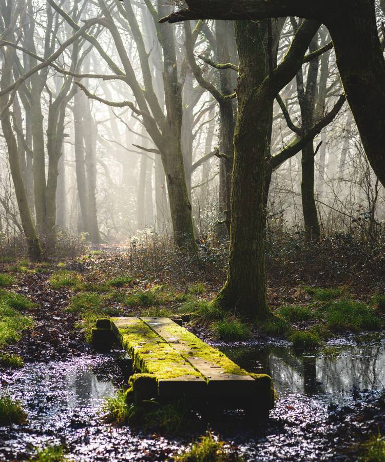 Bridge by Antony Cooper, art work | Art Limited