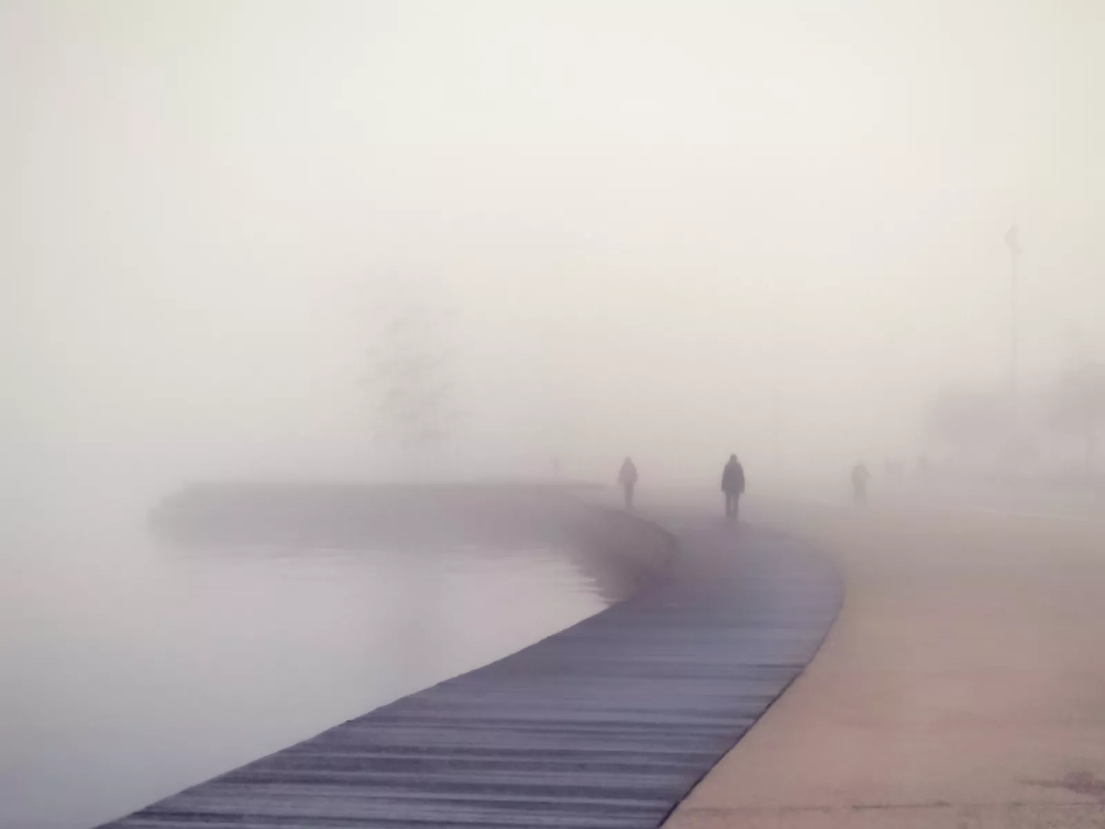 Emergence by Steve Share, Photography, Digital | Art Limited