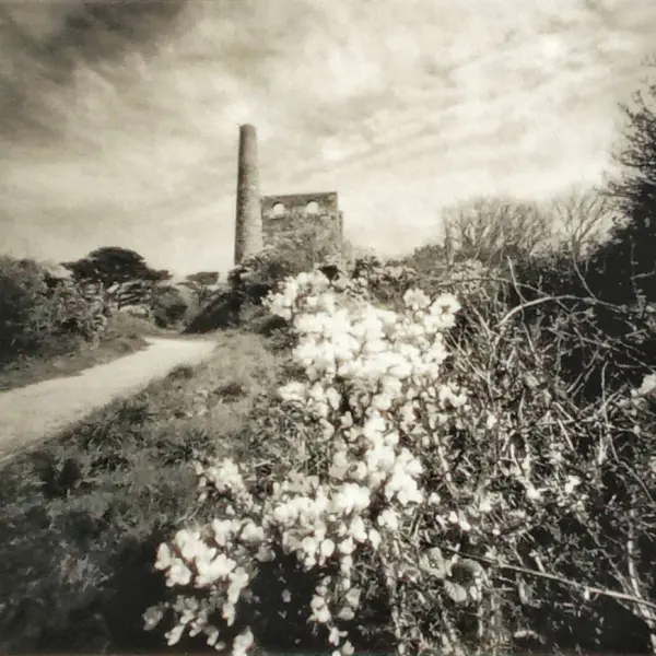 Reaching out by Clive Vincent, Photography, Pinhole | Art Limited