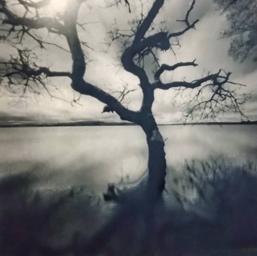 Reaching out by Clive Vincent, Photography, Pinhole | Art Limited