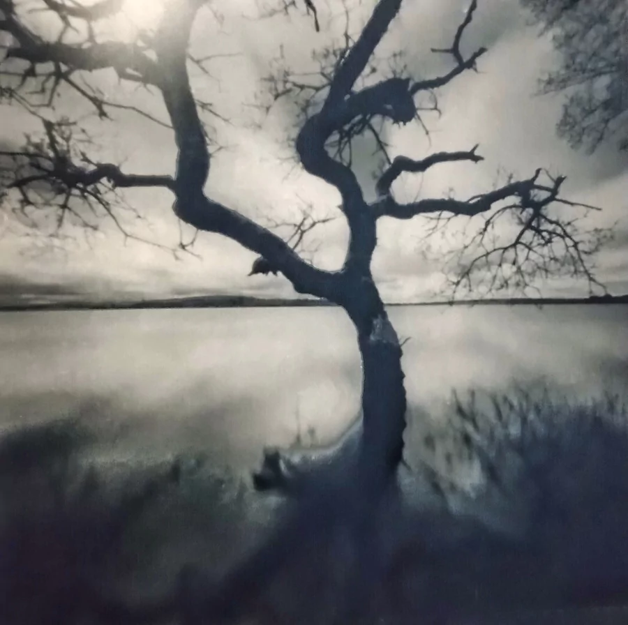 Reaching out by Clive Vincent, Photography, Pinhole | Art Limited