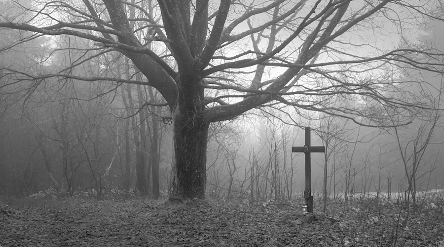 Tree and cross by Marian a Jitka Majtan, art work | Art Limited