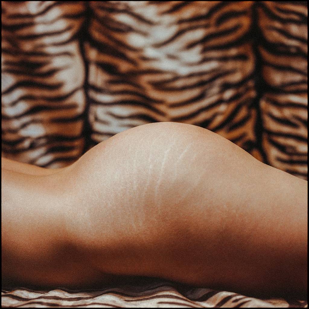 Panthera Tigris By Łukasz Spychała Photography Medium Format Film Art Limited