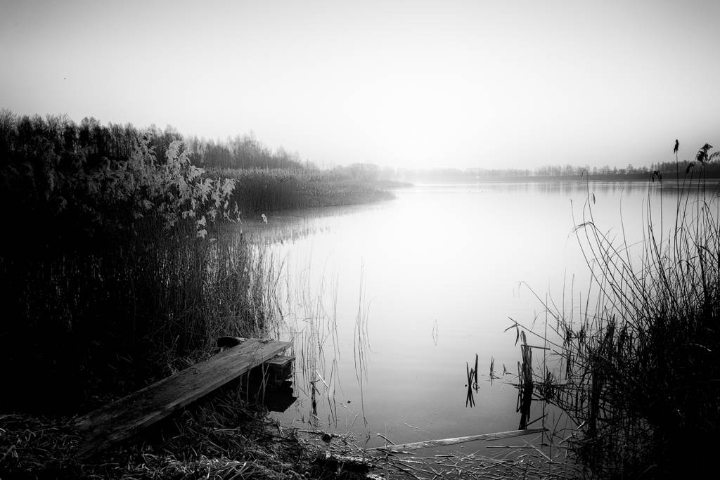 Silent by Antoni P, Photography, Digital | Art Limited