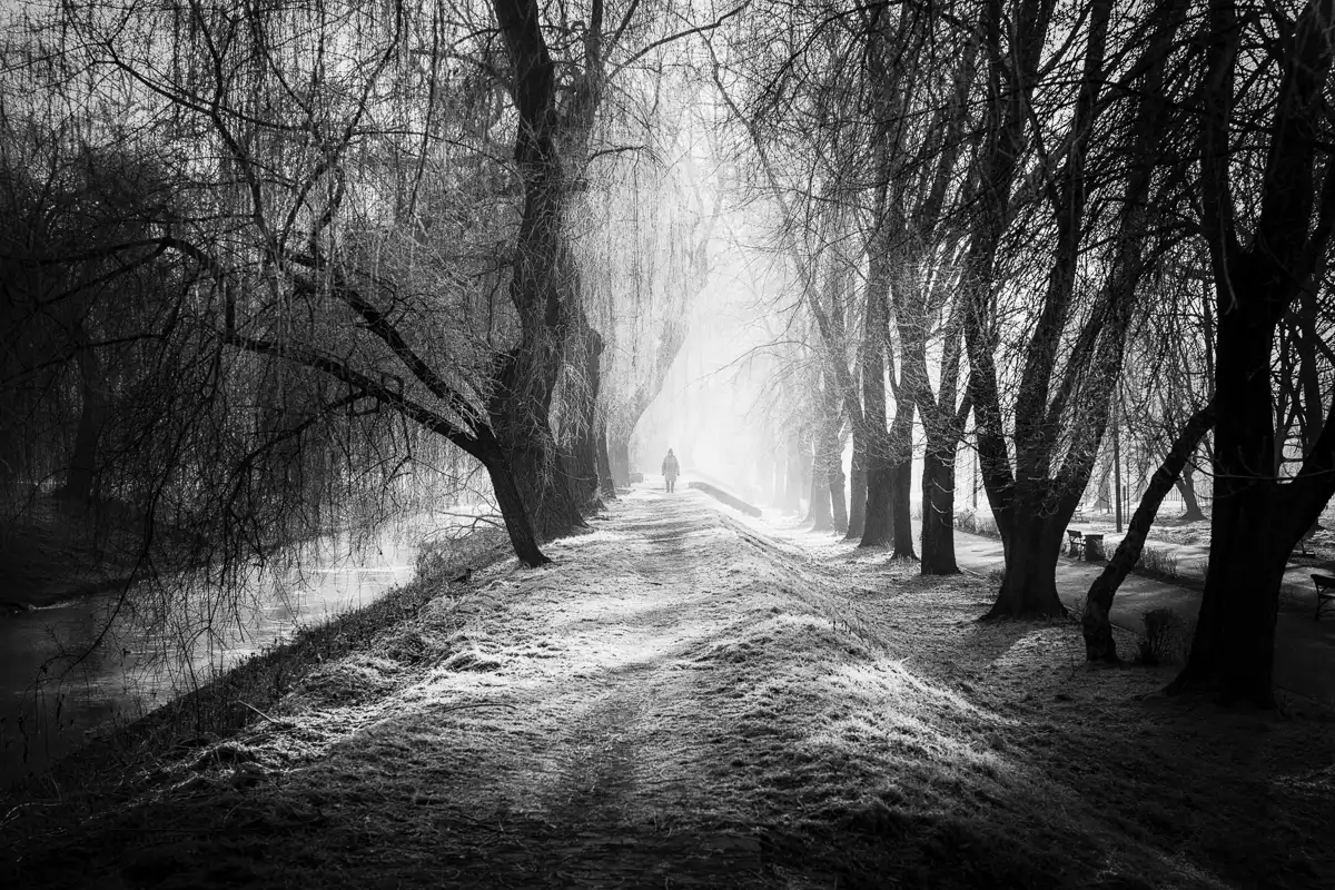 Light around us by Antoni P, Photography, Digital | Art Limited