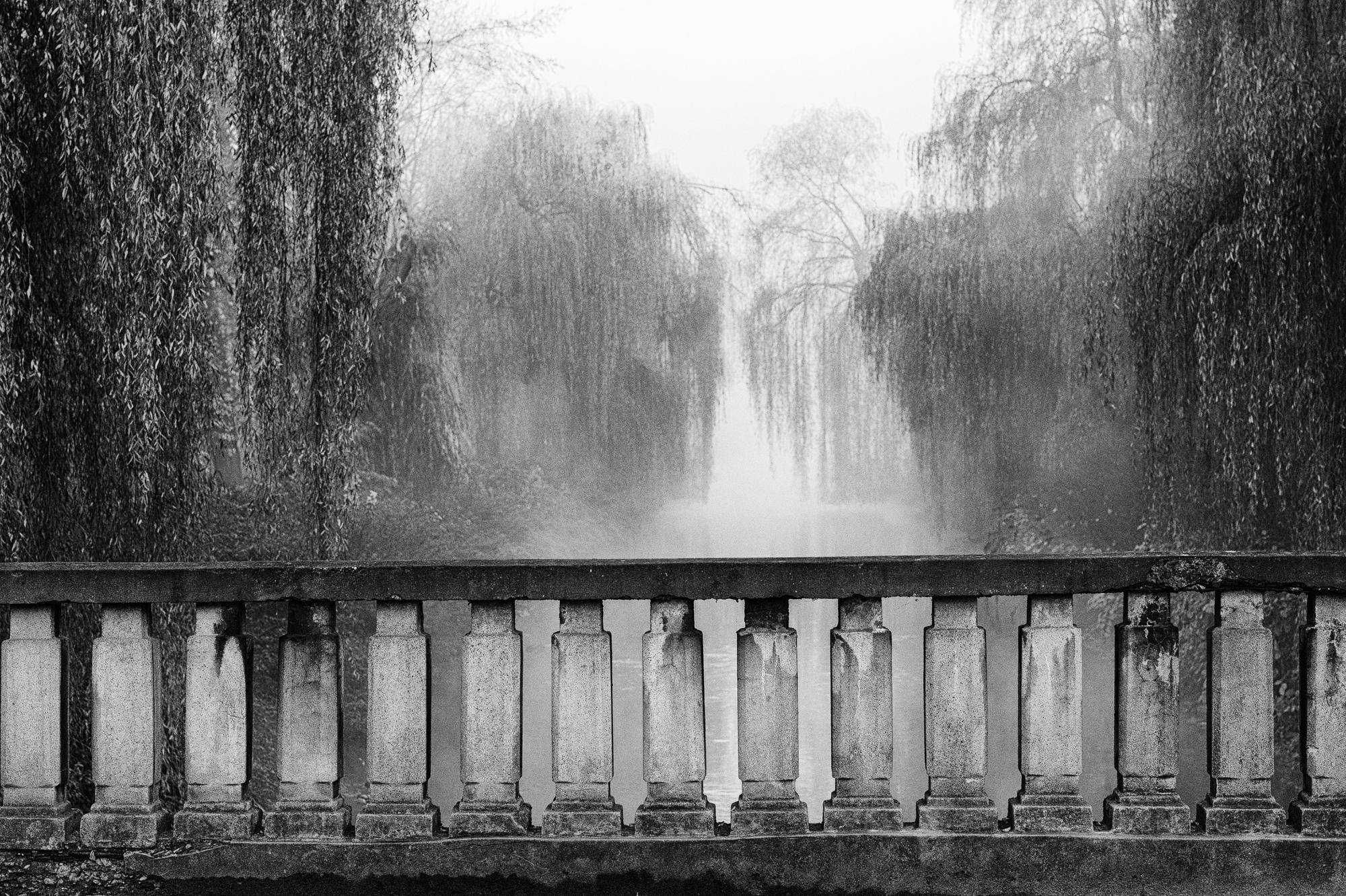 So Many Tears par Antoni P, Photographie, Numérique | Art Limited
