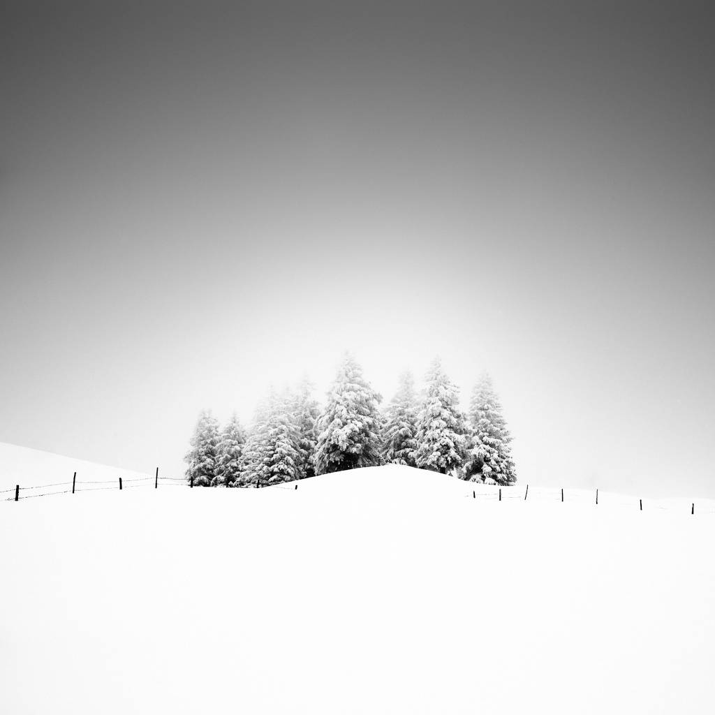 Cohesion by Alexej Schulz, Photography, Digital | Art Limited