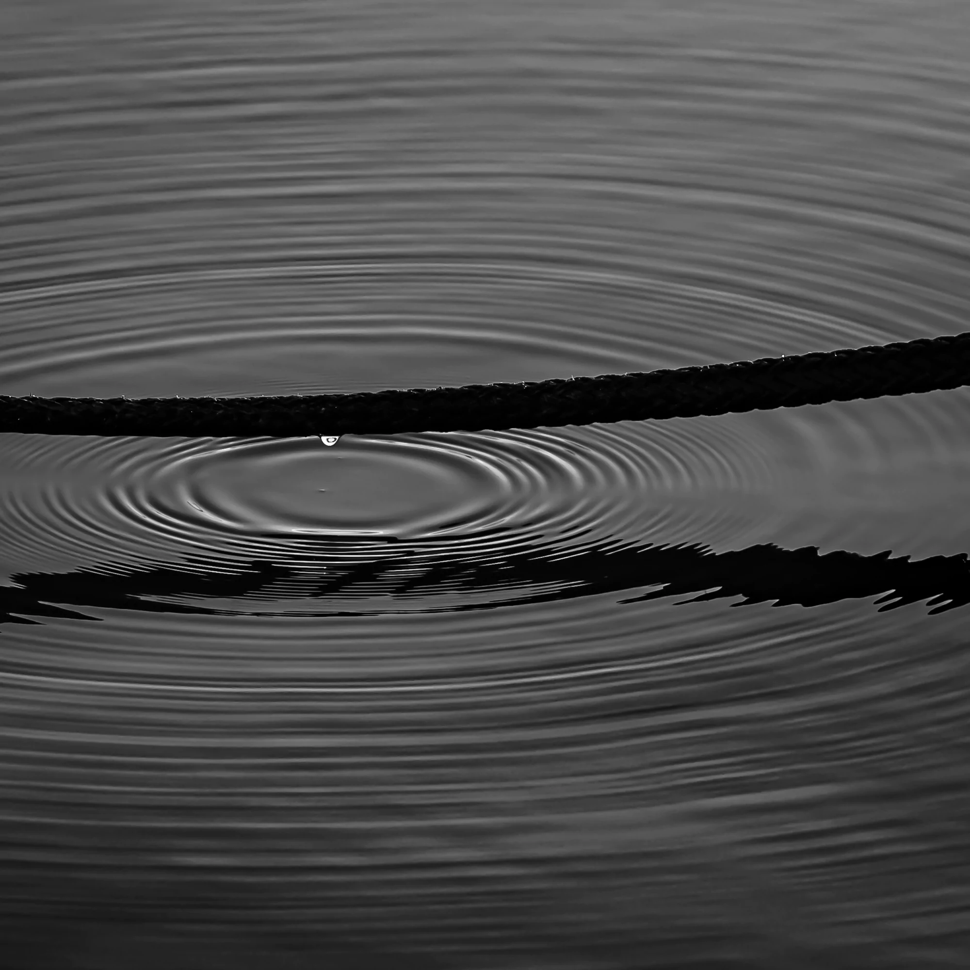 Teardrop by Anthony Park, art work | Art Limited