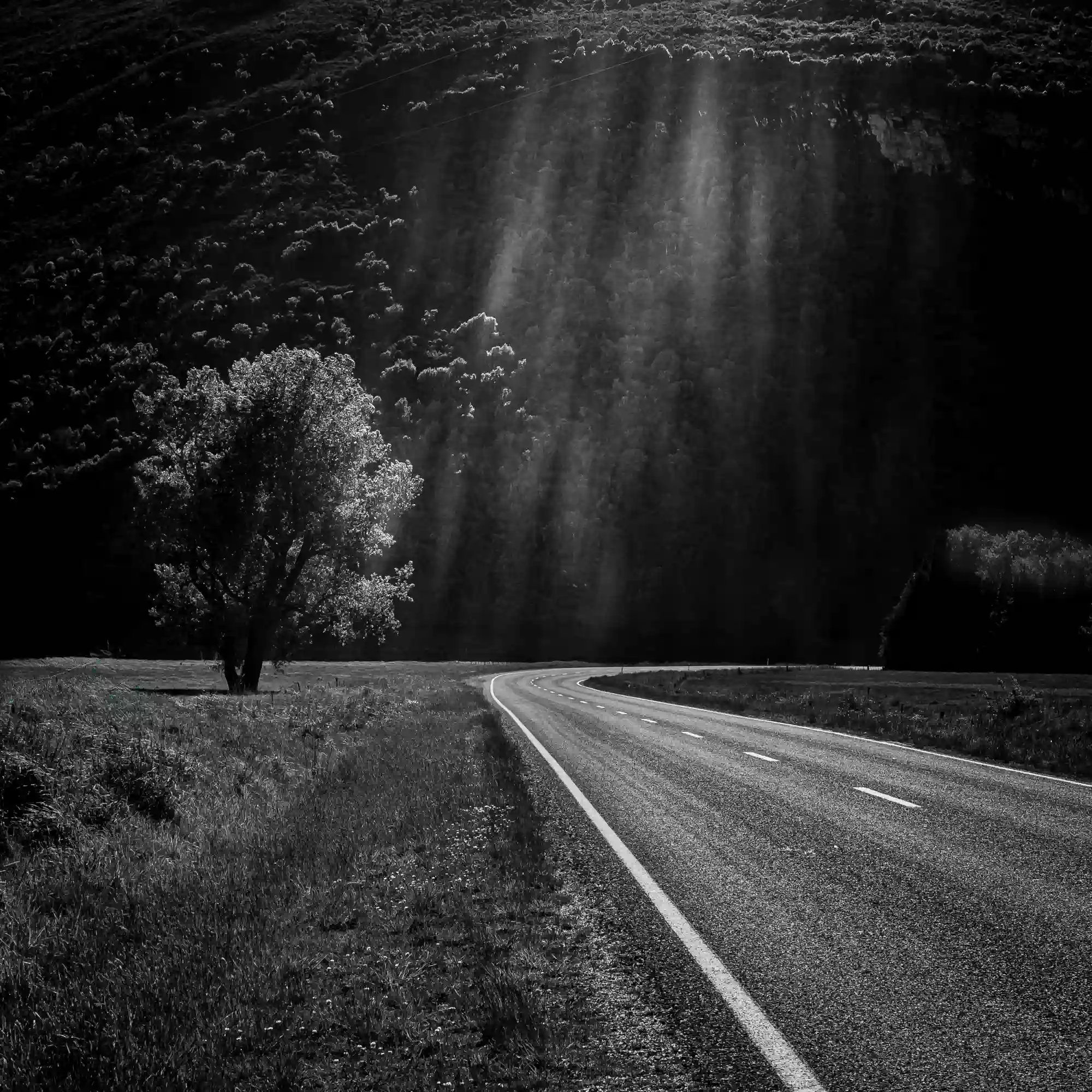 Guided by light by Anthony Park, art work | Art Limited