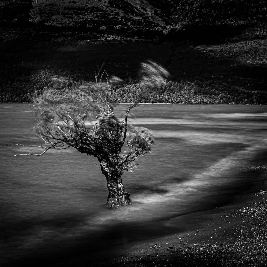 Wavering by Anthony Park, art work | Art Limited