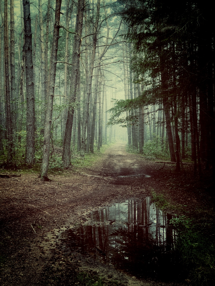 The upside-down by Cyril Auvity, Photography, Mobile phone | Art Limited