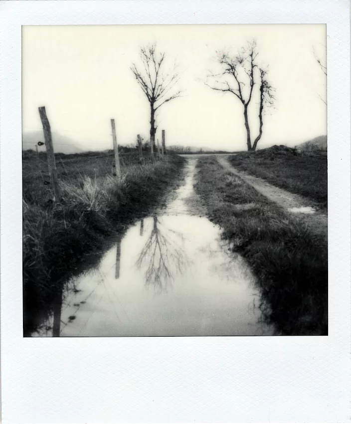 Revers'O by Cyril Auvity, Photography, Instant film | Art Limited