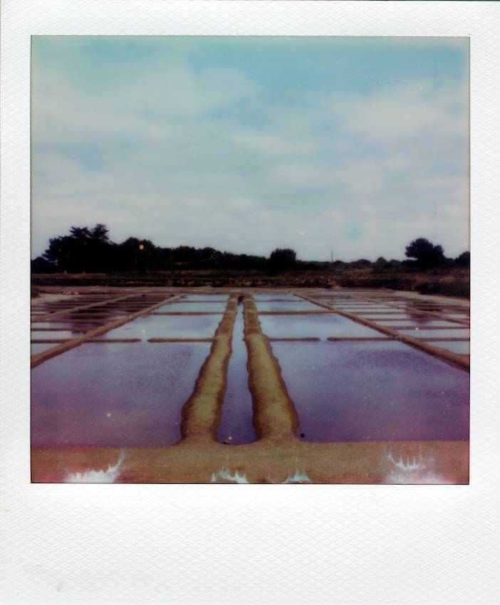 Salt Land by Cyril Auvity, Photography, Instant film | Art Limited