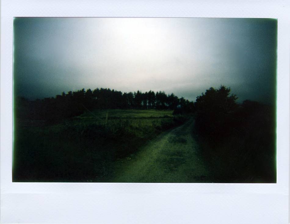 The dark path by Cyril Auvity, Photography, Instant film | Art Limited