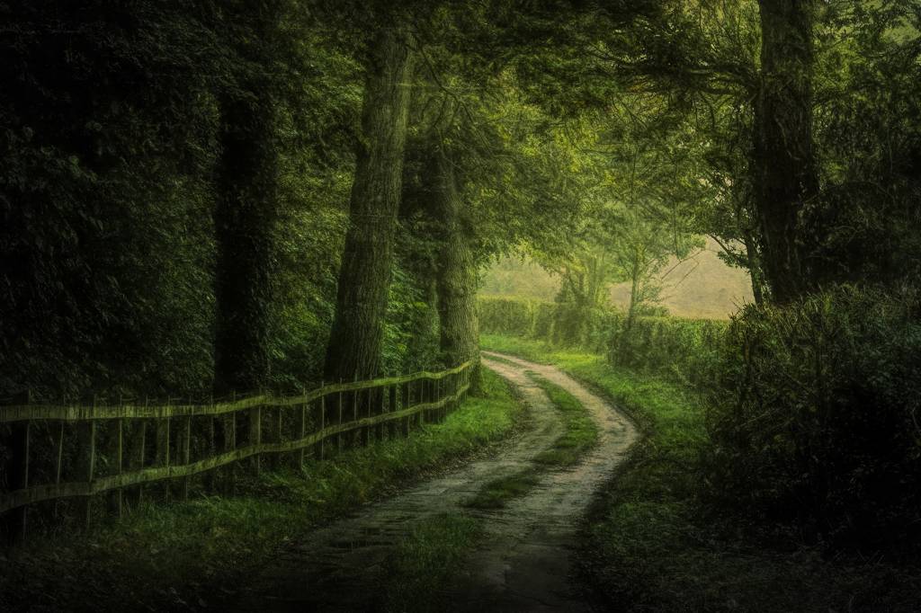 Down Autumn Lane by Martin Fry, Digital art, Manipulation