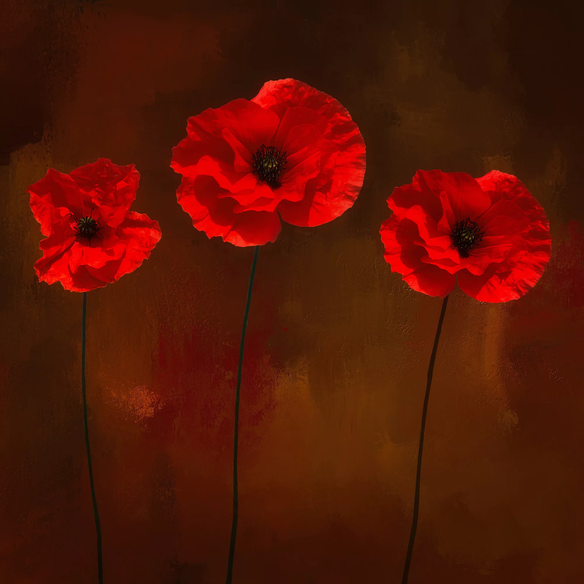 Poppies by Martin Fry, Digital art, Manipulation | Art Limited