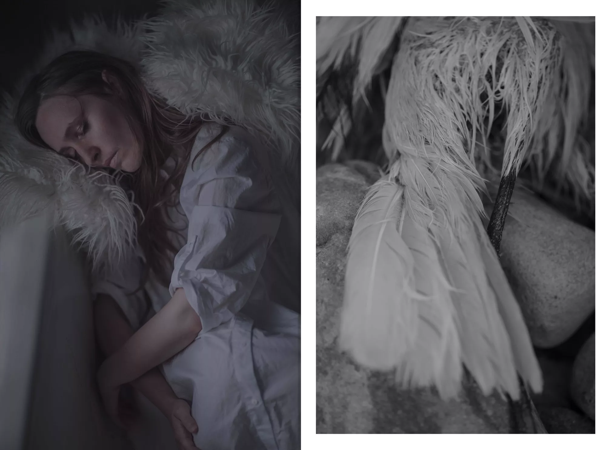 Broken-winged birds don't fly by Angelika Kollin, art work | Art Limited