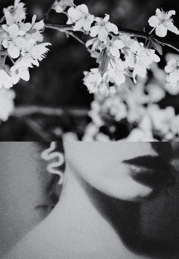 Minimal collage by Gizajia, art work | Art Limited