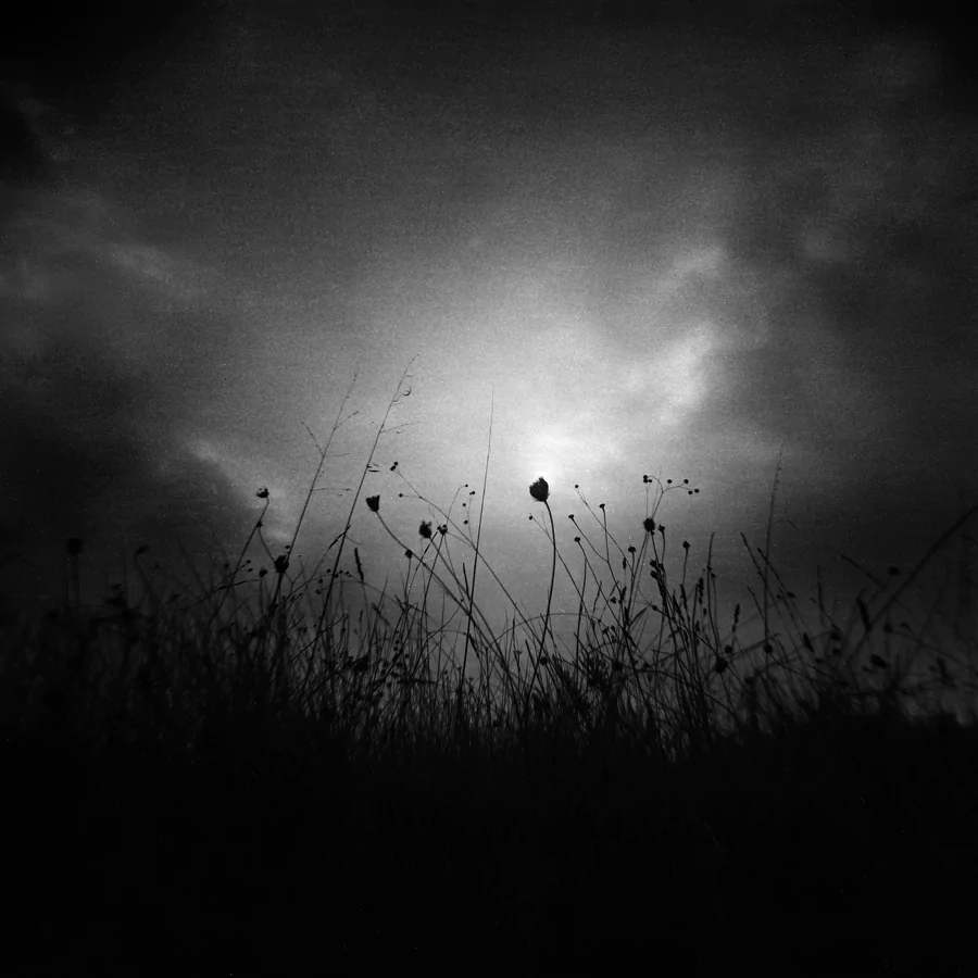 The dark don't hide it by Aurora, art work | Art Limited