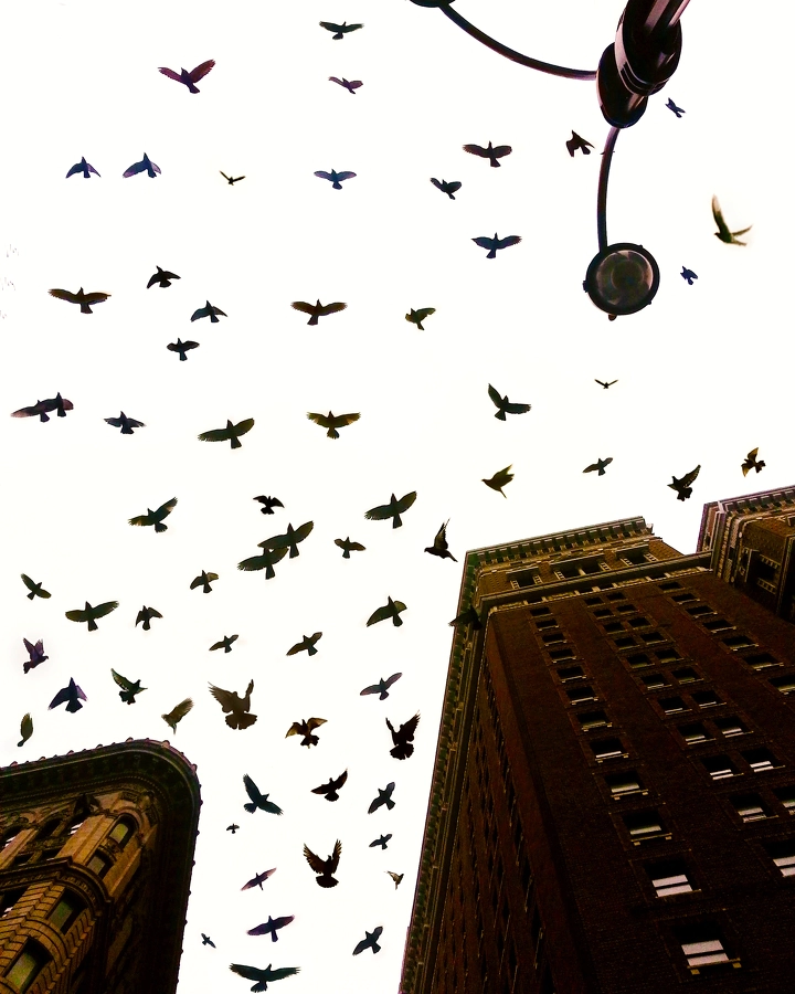 Leaving ... by Eliyan Cohen, art work | Art Limited