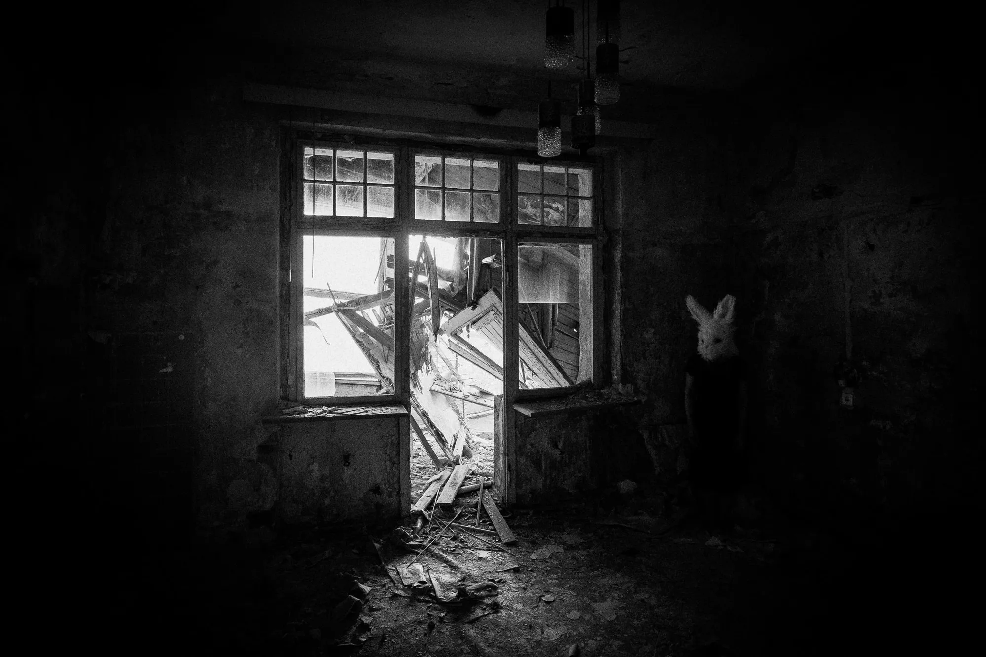 Down the (wrong) Rabbit Hole. by Lysann, Photography, Digital | Art Limited