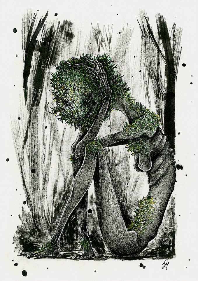 Mosses Drawing