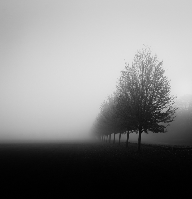 Out Of Sight, Out Of Mind by Andrei Stepanov, Photography, Digital ...