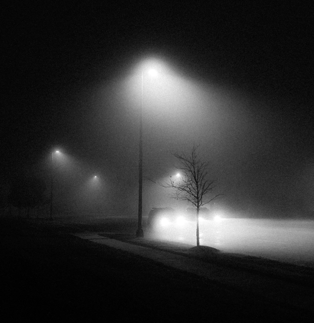 Through Dense Fog by Andrei Stepanov, Photography | Art Limited
