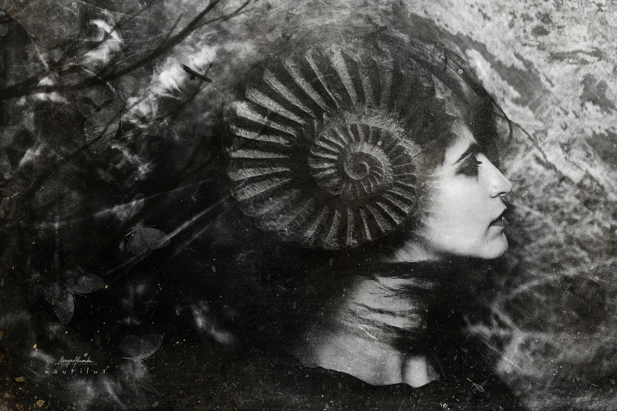 Nautilus by Alexandru Moga, art work | Art Limited