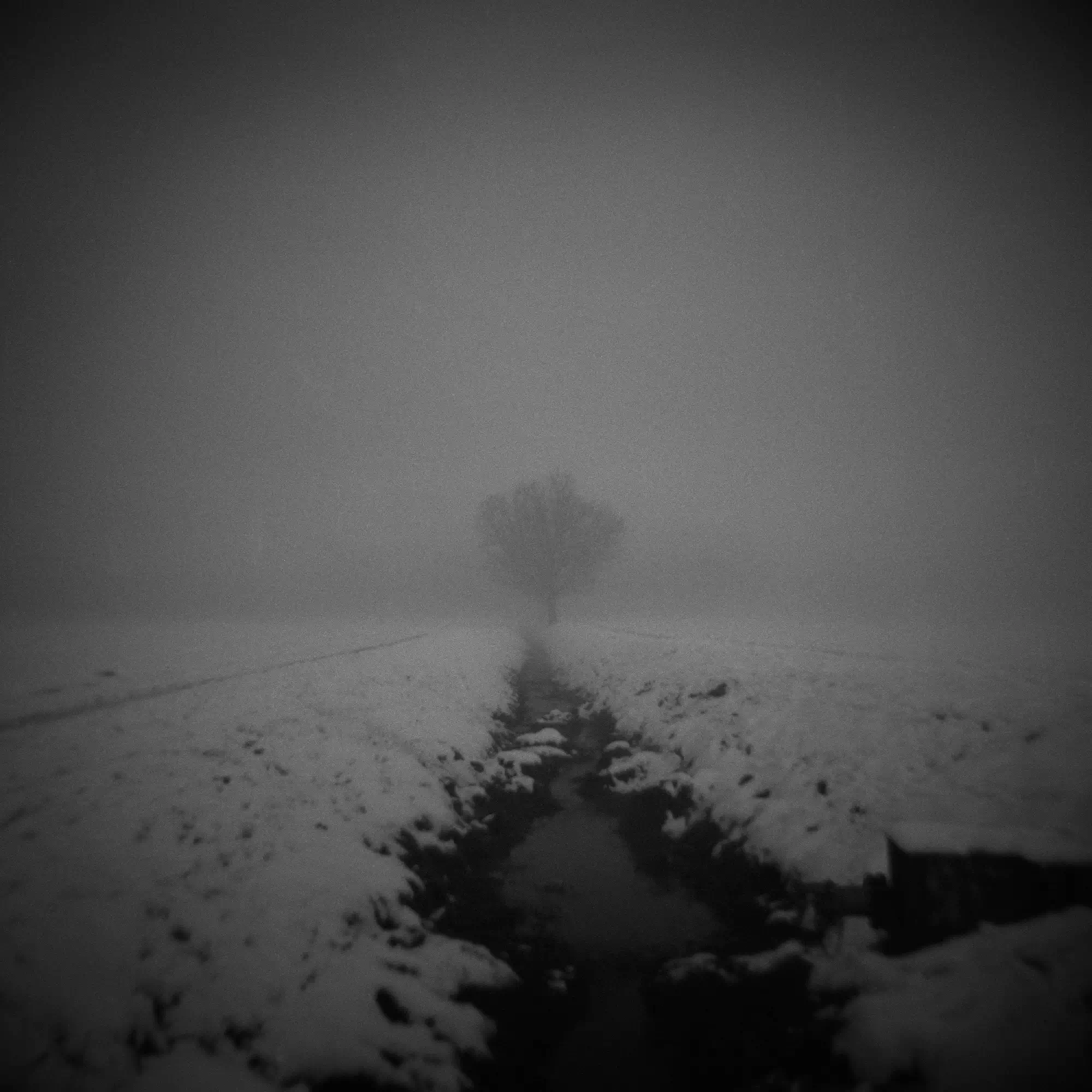 Not so distant by Lorita, Photography, Medium-format film | Art Limited
