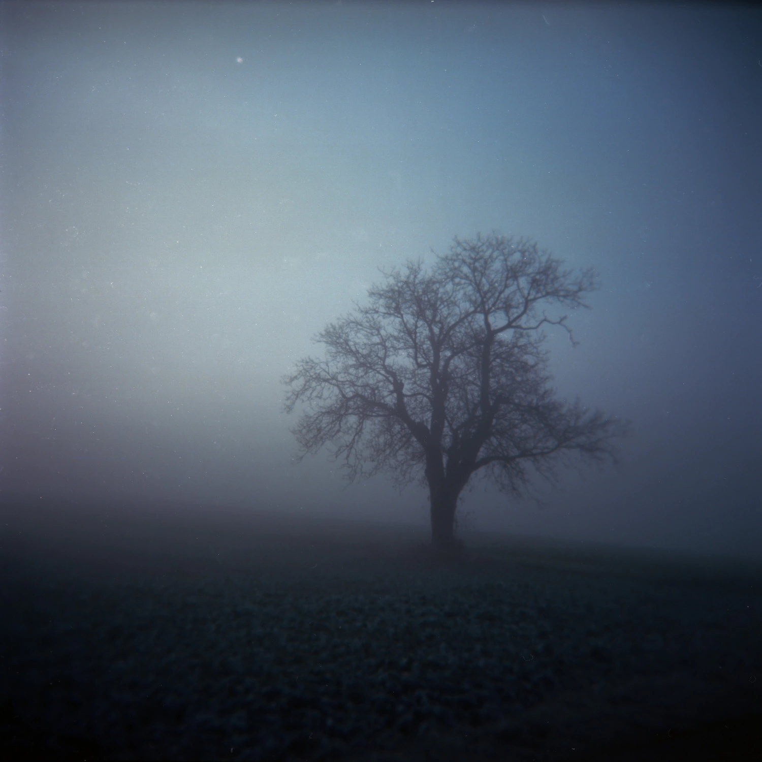 First light by Lorita, Photography, Medium-format film | Art Limited