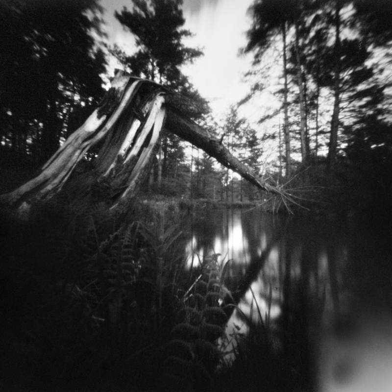 Signs (4) by Paweł Tomczyk, Photography, Pinhole | Art Limited