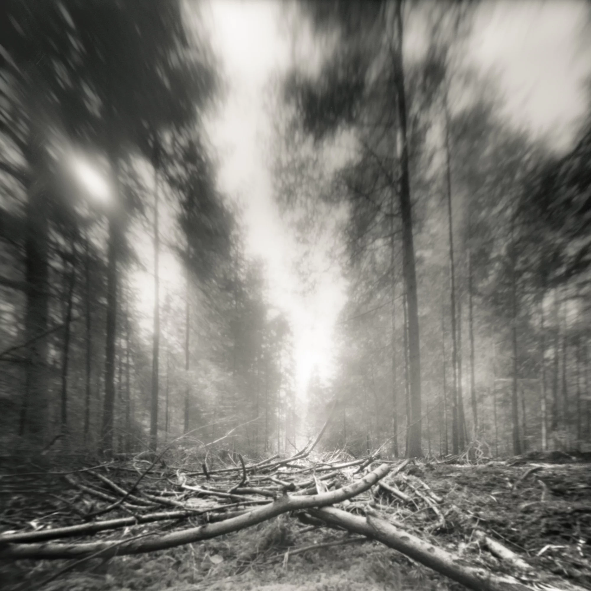 Echoes #11 by Paweł Tomczyk, Photography, Pinhole | Art Limited