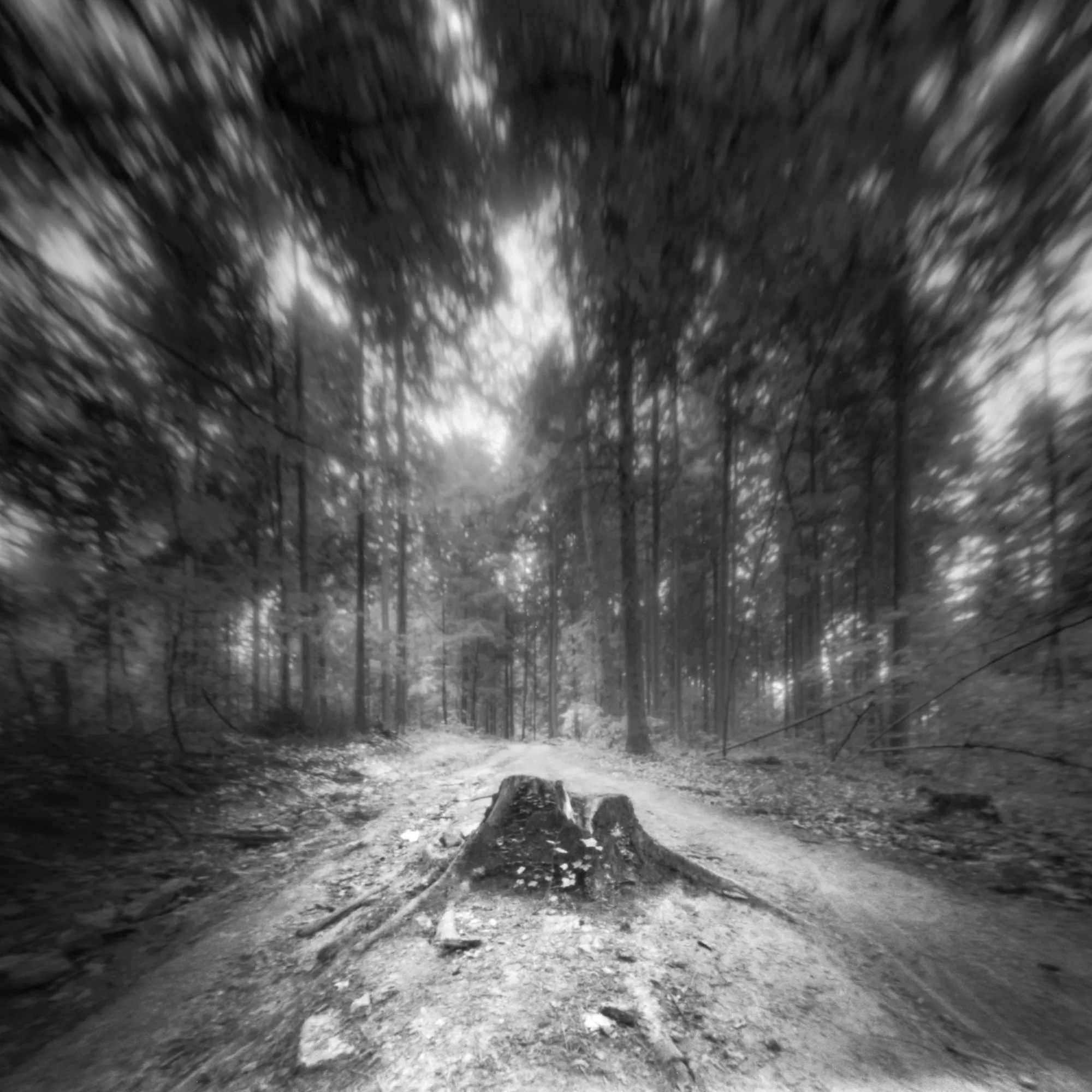 Directions (4) by Paweł Tomczyk, Photography, Pinhole | Art Limited
