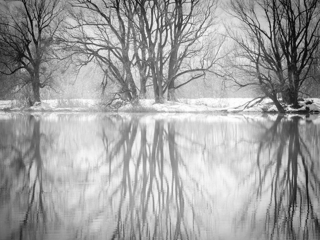 Quietness by Renate Wasinger, Photography