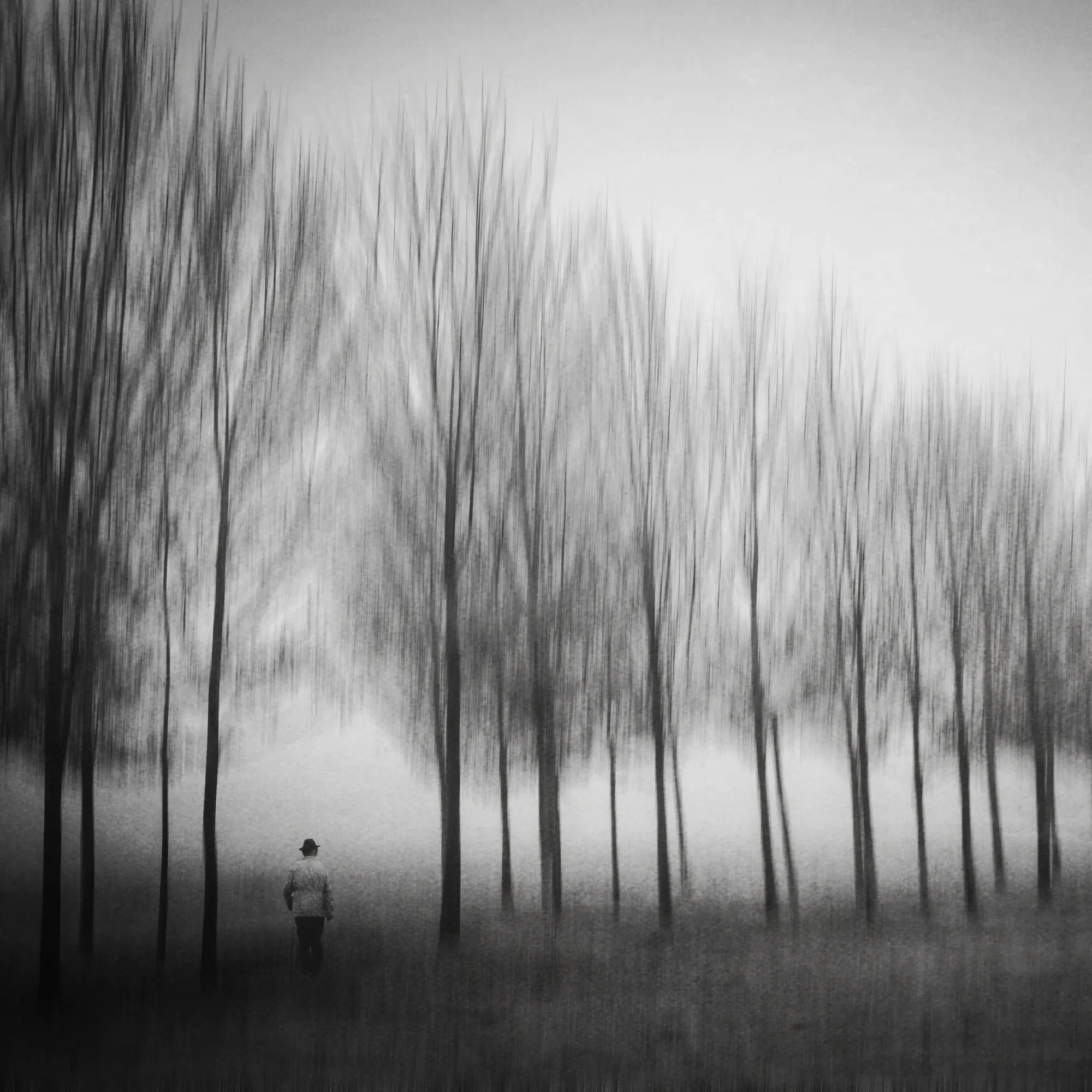 Loneliness by Renate Wasinger, Photography | Art Limited