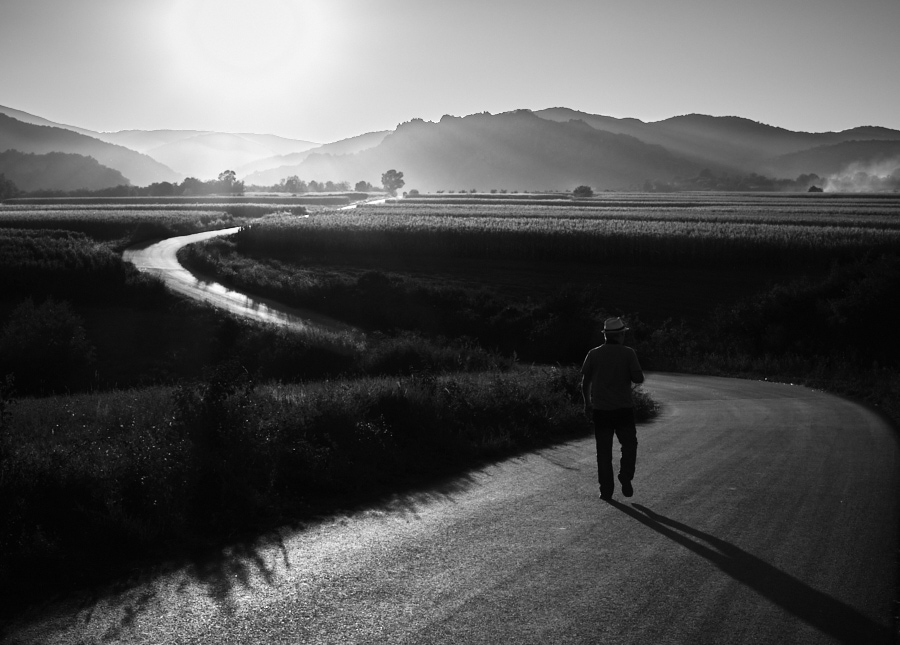 Lonely road by Nenad Zivanovic, art work | Art Limited