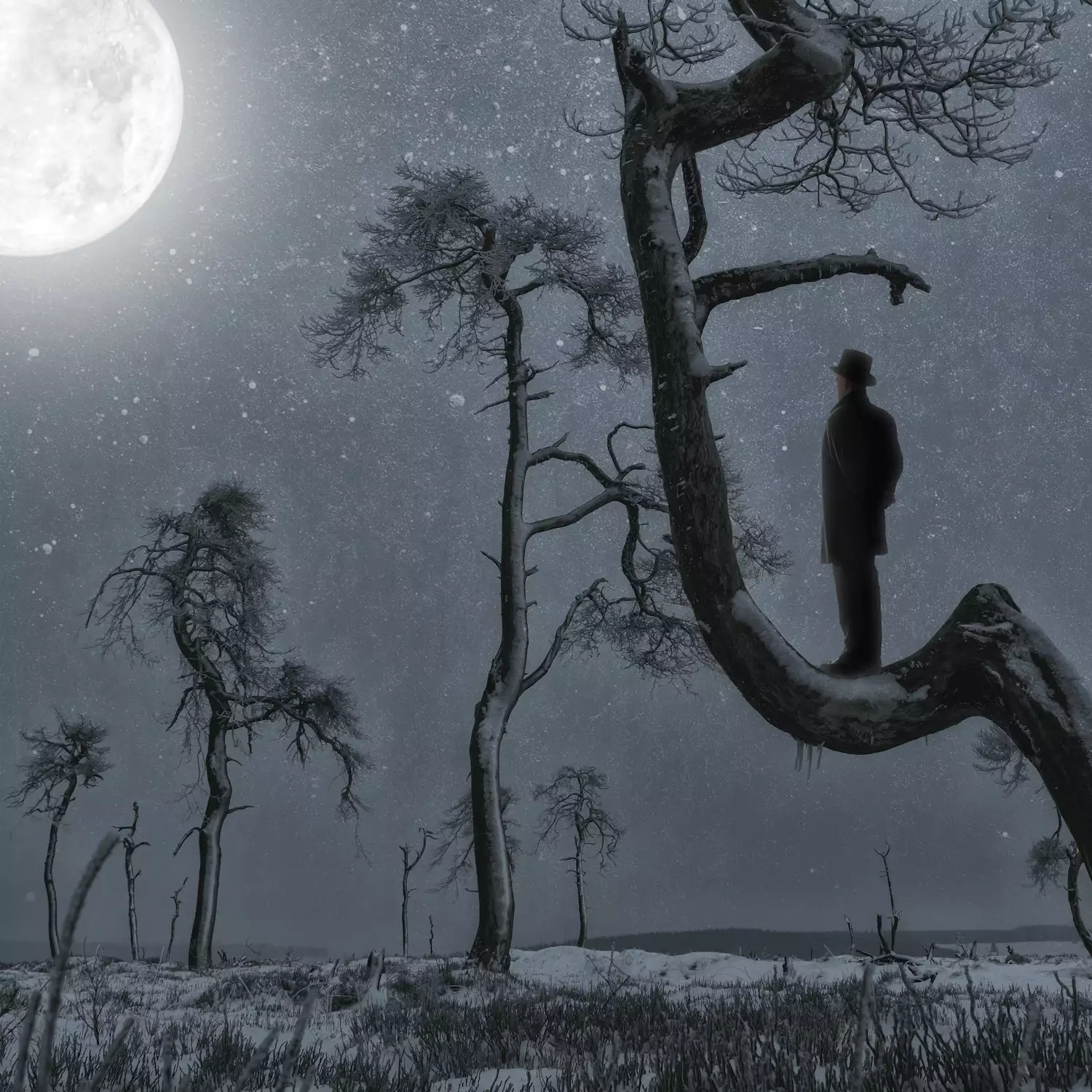 Insomnia by Jerry de Stexhe, art work | Art Limited