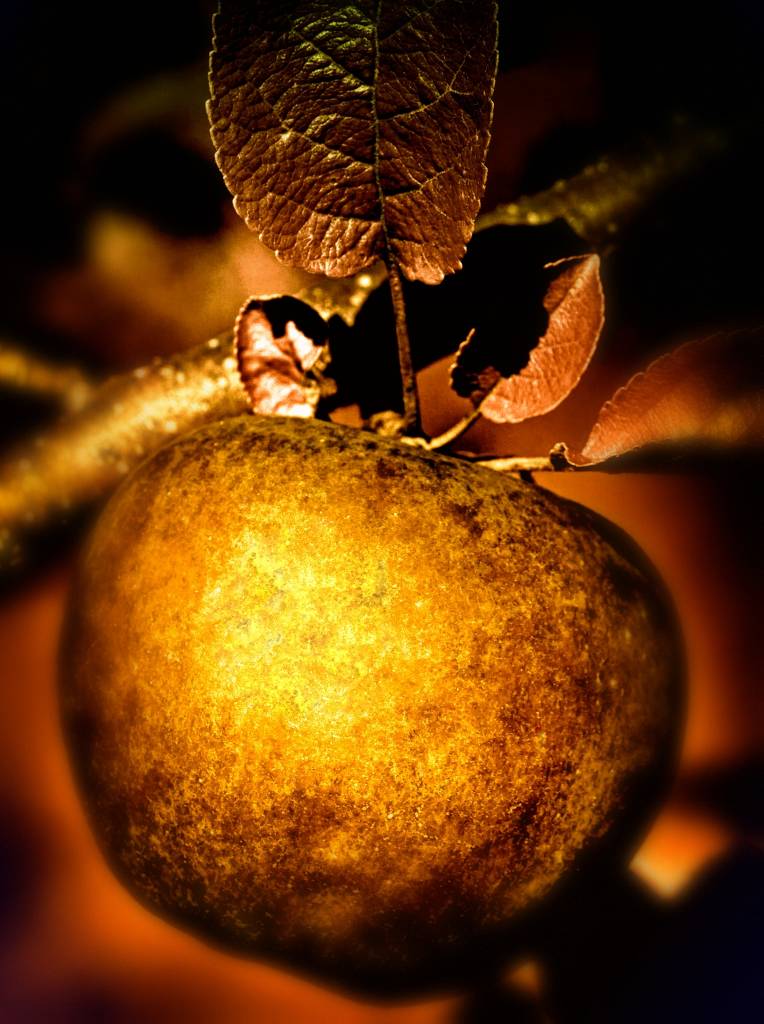 Golden Apple by Danuta Gaweł, Photography, Digital | Art Limited