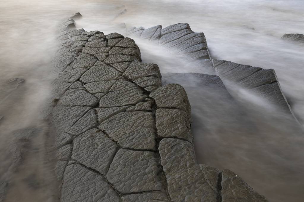 Jurassic Emergence by Julian Greaves, Photography, Digital