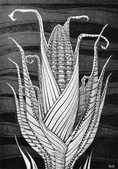 Corn by Ivanna Shmeleva, Drawing, Ink | Art Limited