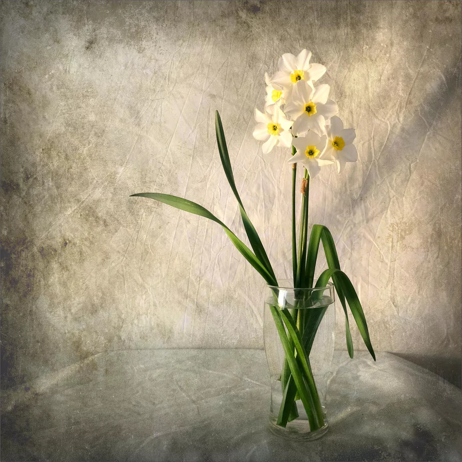 Six stars by José Manuel Pires Dias, art work | Art Limited