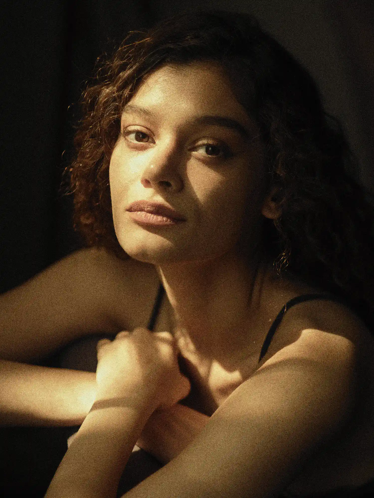 Anis by Hamidreza sheikhmorteza, Photography, Digital