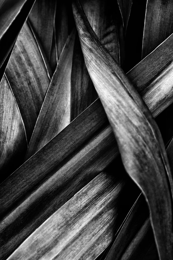 DETACHMENT by Anett Bulano, Photography