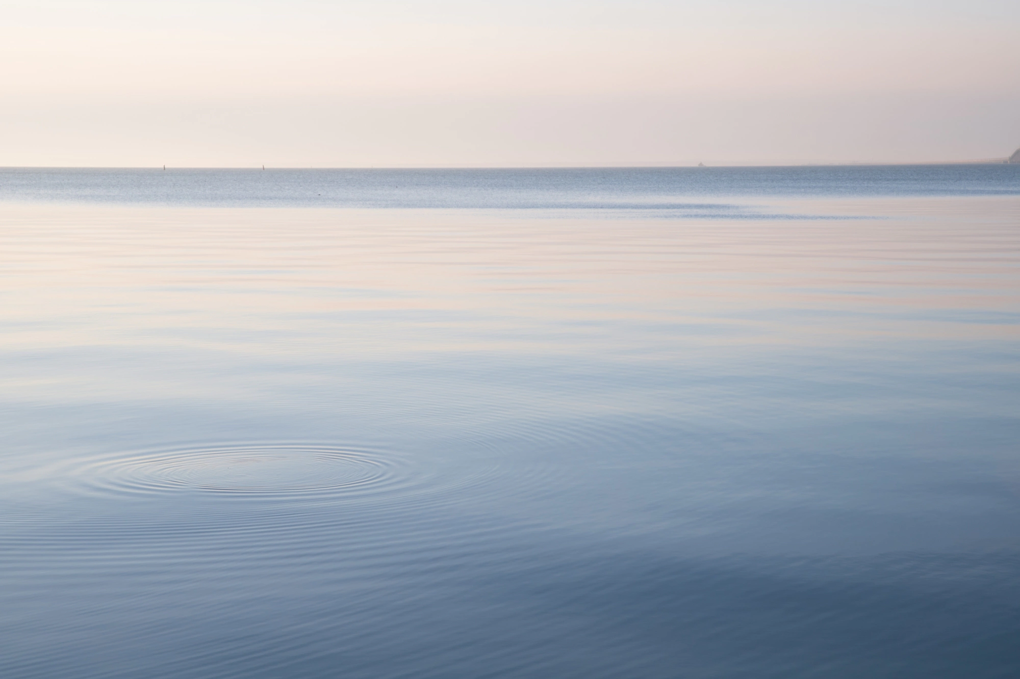 Almost calm... by Svitlana Moiseienko, art work | Art Limited