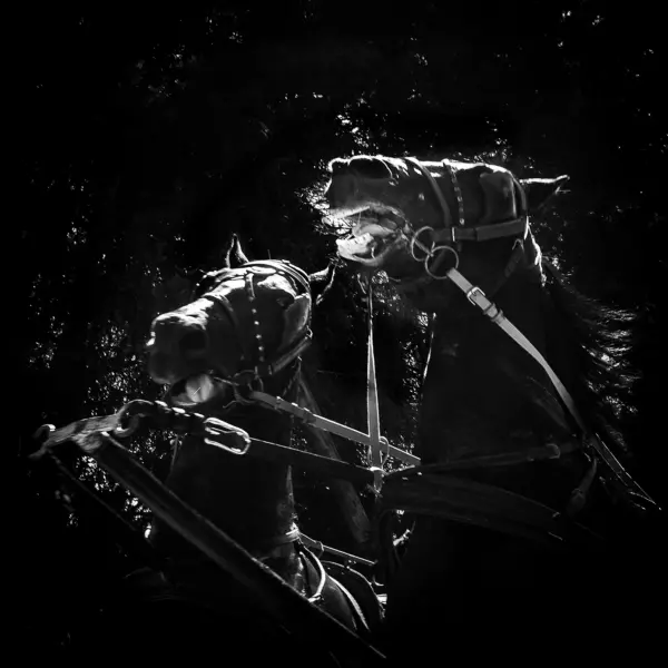 Tunel by Petar Zambo, Photography, Digital | Art Limited